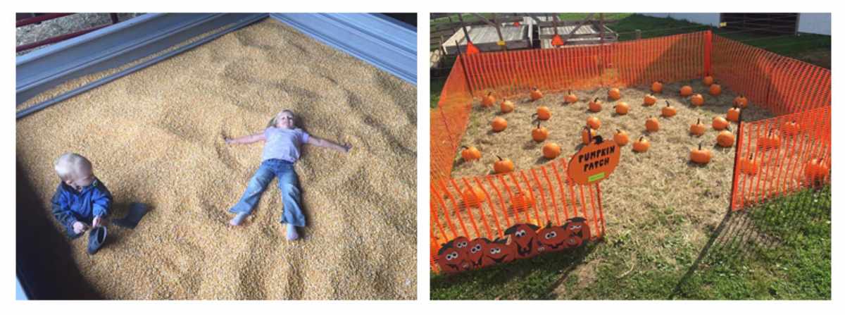 Family Fun Drive Yourself Tour | Visit Medina County