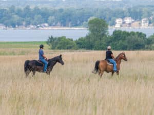 Chippewa Lake Park: Things to Do in Medina County Ohio