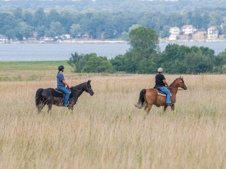 Chippewa Lake Park: Things to Do in Medina County Ohio